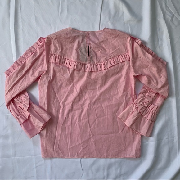 Zara | Tops | Nwt Zara Pink Frill Ruffle Blouse Top | Poshmark